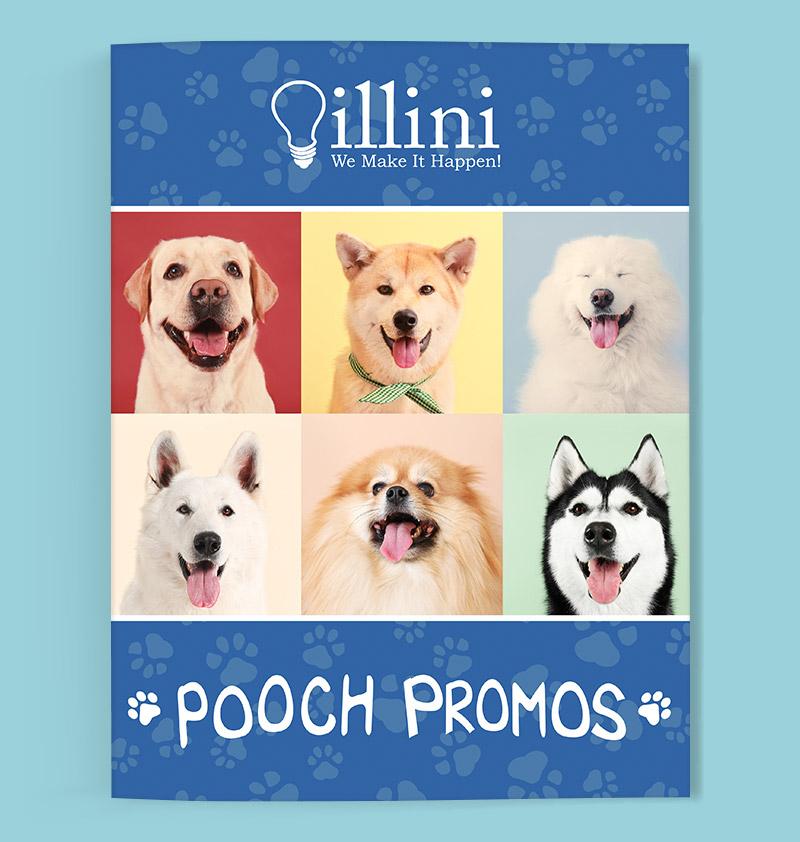 Pet Catalogs By Mail at Hazel Anderson blog
